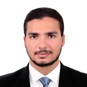 Mohamed Shaaban Sadek Thermodynamics online tutor £ 200 - £ 500/hour