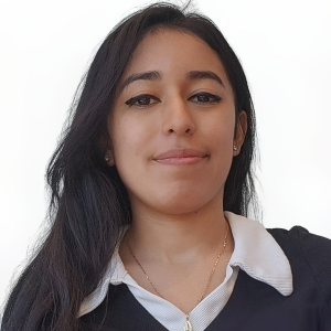 Jerelyn Rodriguez-Solano Math,Reading and Spelling with a Multi-Sensory ...