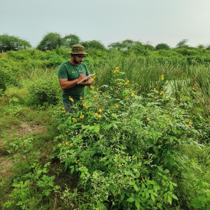 Biology CBSE tutors in Batla House - TeacherOn
